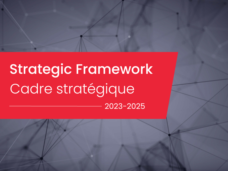 CPATA’s Strategic Framework for 2023-2025 - CPATA